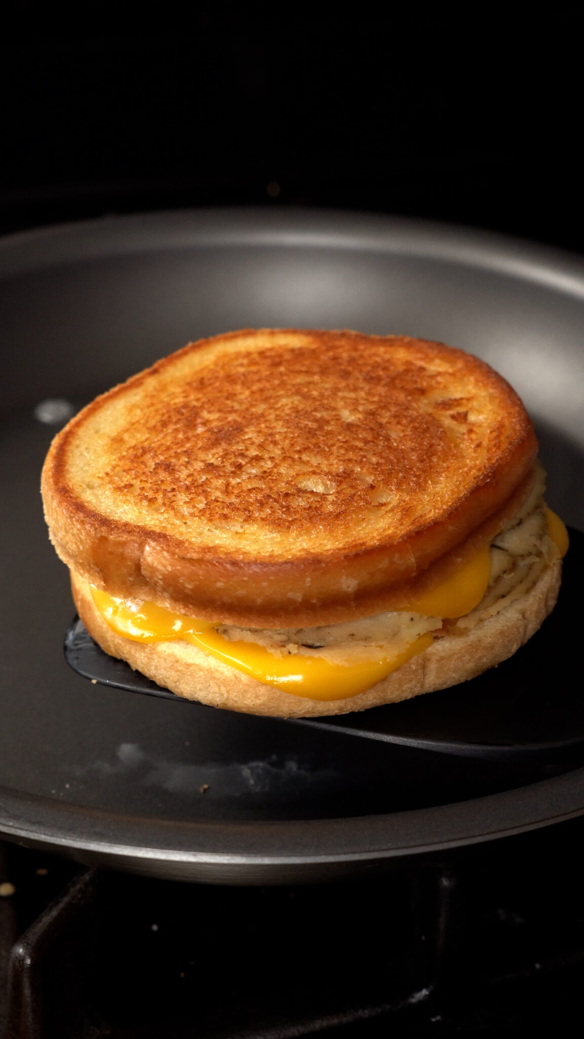 Vegan Turkey Deli Slices - Thee Burger Dude