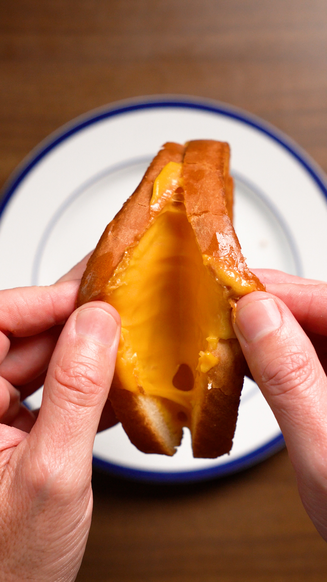 Vegan Tuna Melt - Thee Burger Dude